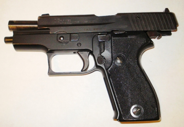 I thought I had twins, but ended up with triplets!!! - Calguns.net